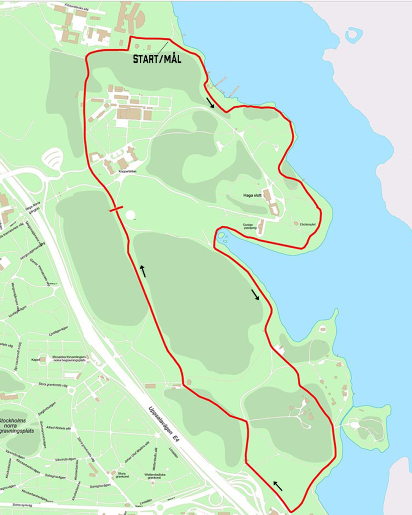 Sverige Springer loppet i Hagaparken - Sverige Springer